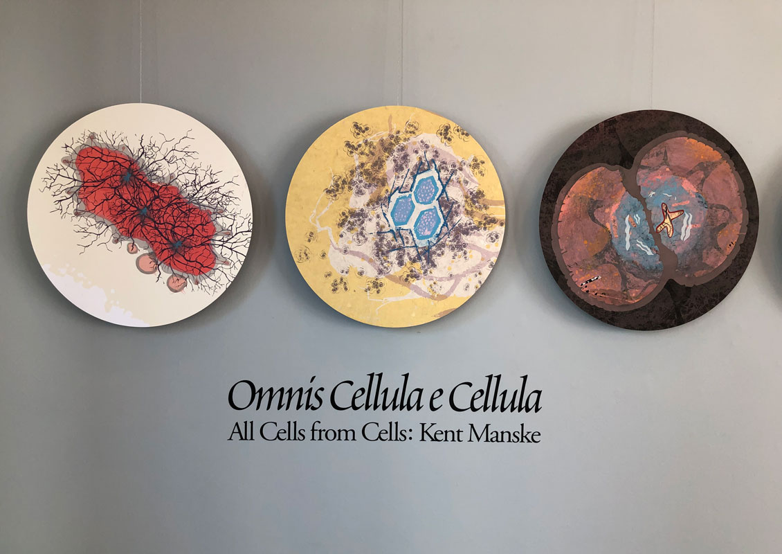 Omnis Cellula e Cellula – Kent Manske
