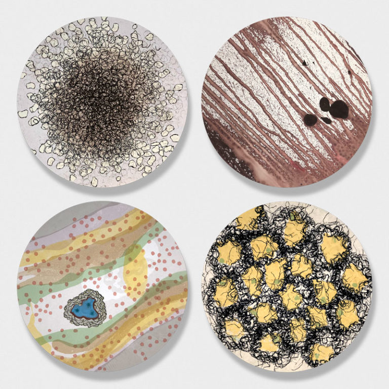 Omnis Cellula e Cellula – Kent Manske