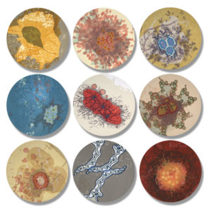 Omnis Cellula e Cellula – Kent Manske